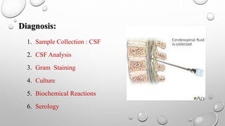 Bacterial meningitis.pptx