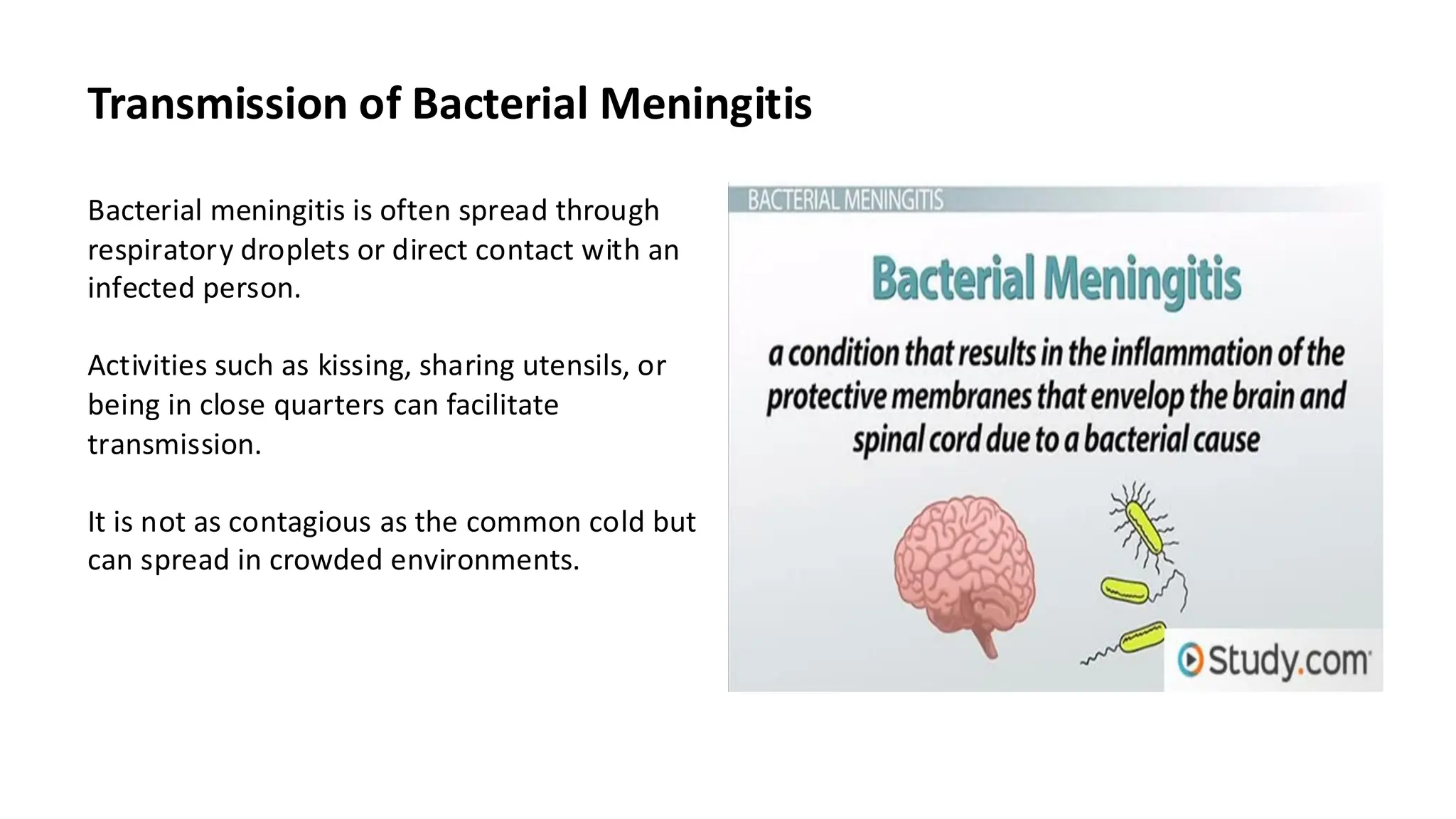 Bacterial Meningitis.pdf for neurological | PDF