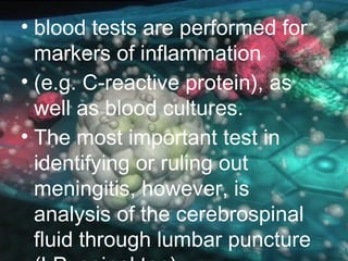 Bacterial meningitis | PPT
