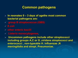 Bacterial meningitis in the neonate | PPT