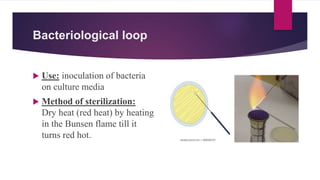 Bacterial meningitis what is the cause.pptx