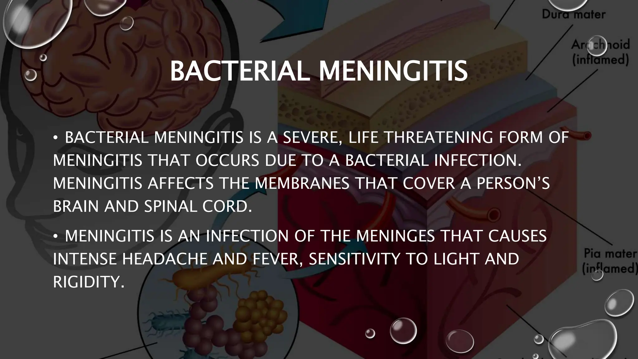 BACTERIAL MENINGITIS, SYMPTOMS, CAUSUES AND TREATMENTS | PPT