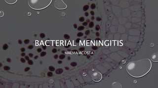BACTERIAL MENINGITIS, SYMPTOMS, CAUSUES AND TREATMENTS | PPTX