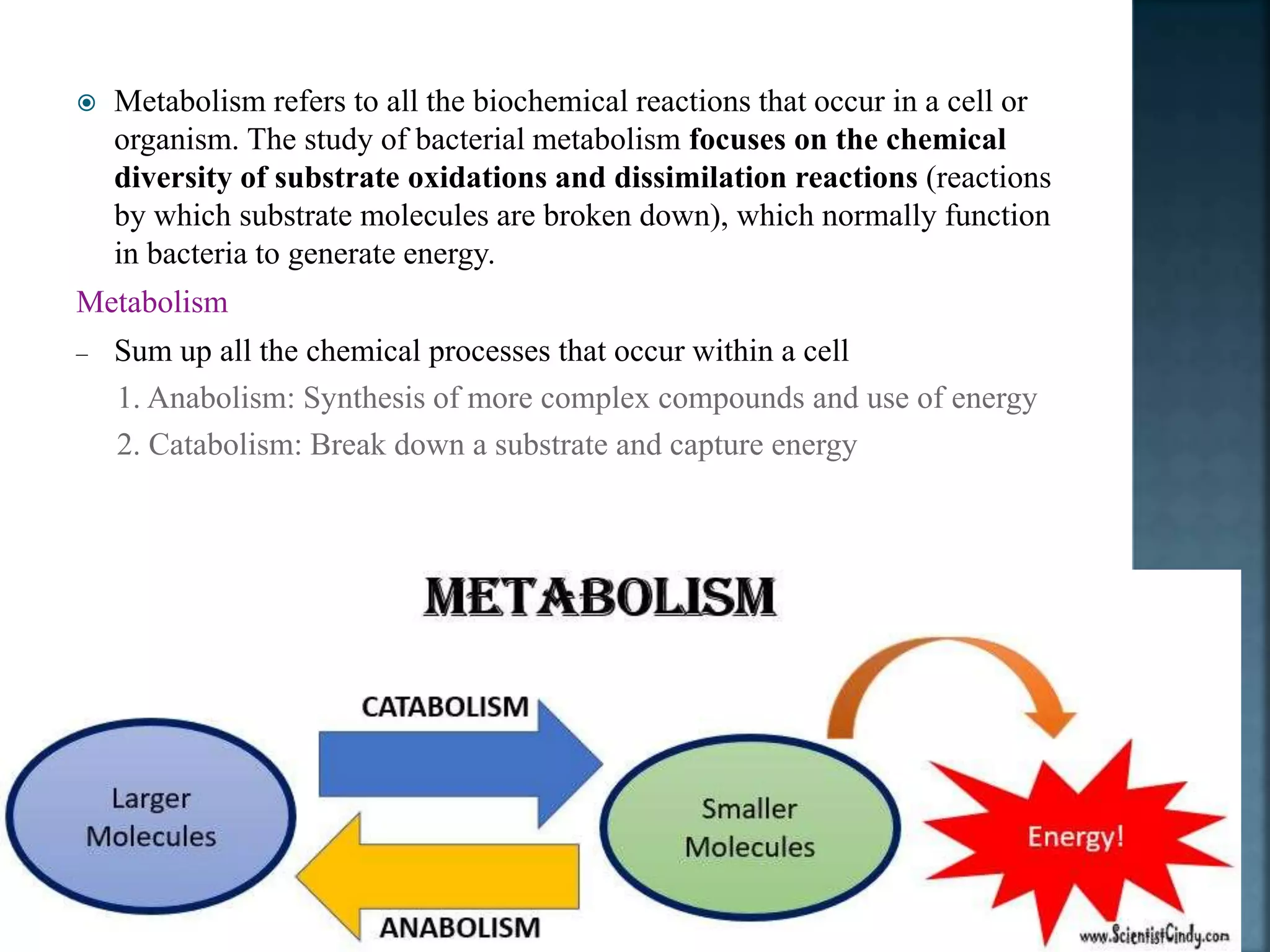 BACTERIALMETABOLISM.ppt
