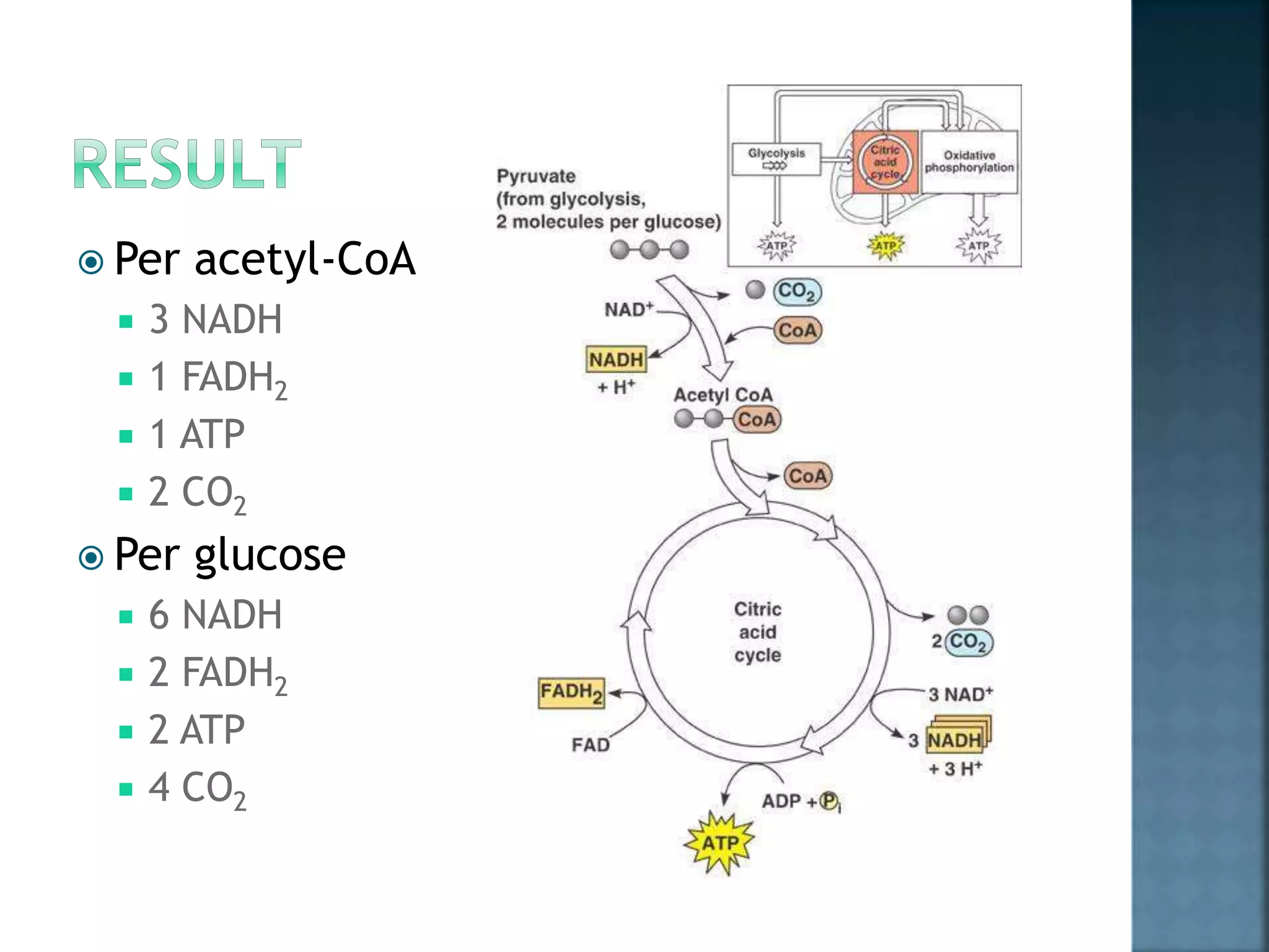BACTERIALMETABOLISM.ppt