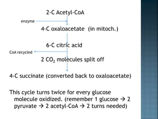 BACTERIALMETABOLISM.ppt