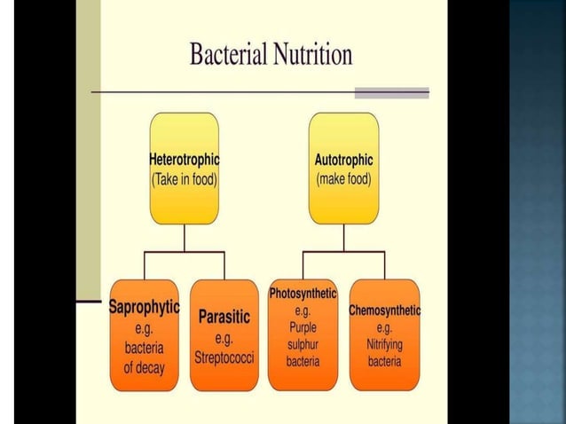 BACTERIALMETABOLISM.ppt