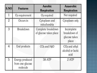 Bacterial metabolism is a complex process that involves the conversion ...