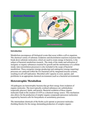 Bacterial Metabolism.pdf