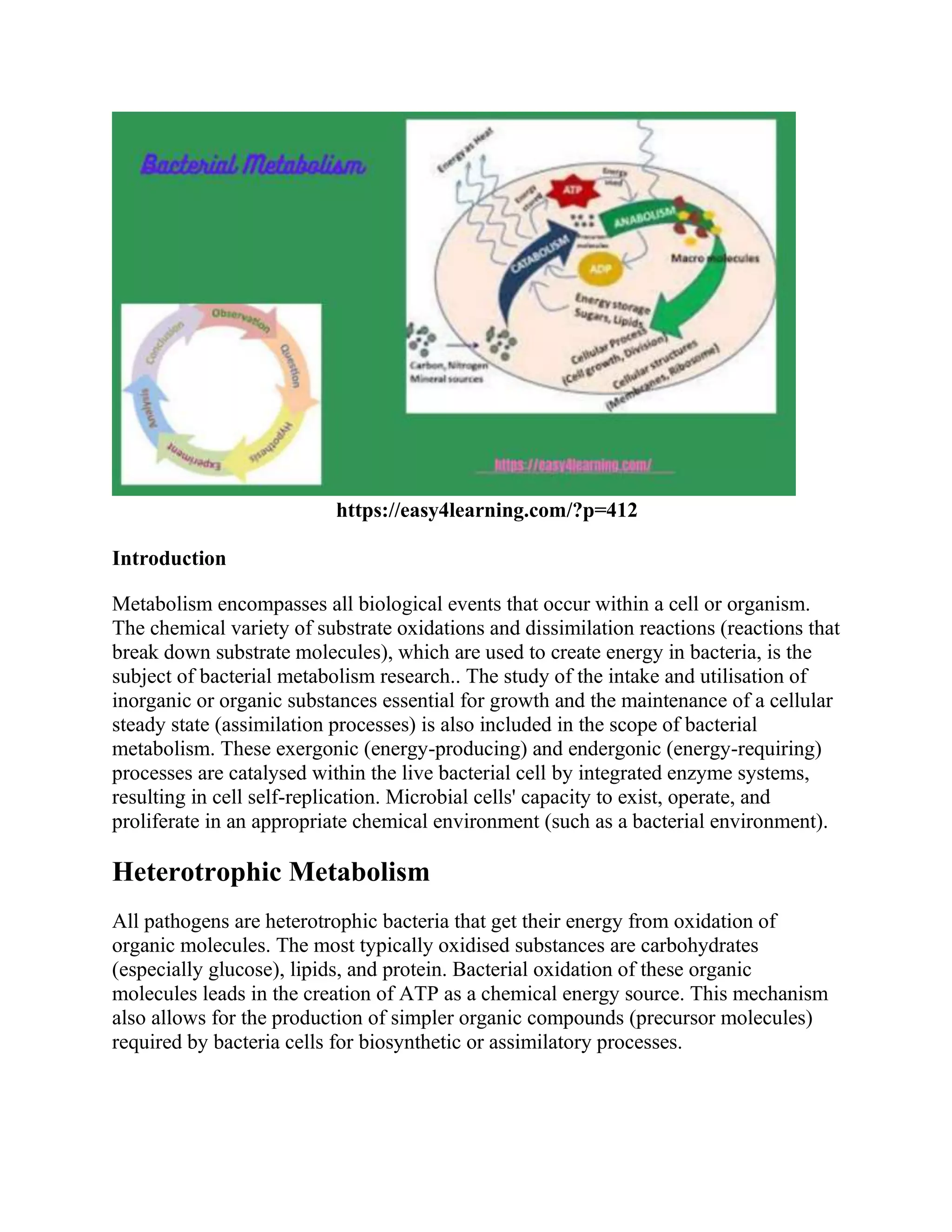 Bacterial Metabolism.docx