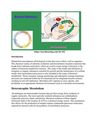 Bacterial Metabolism.docx