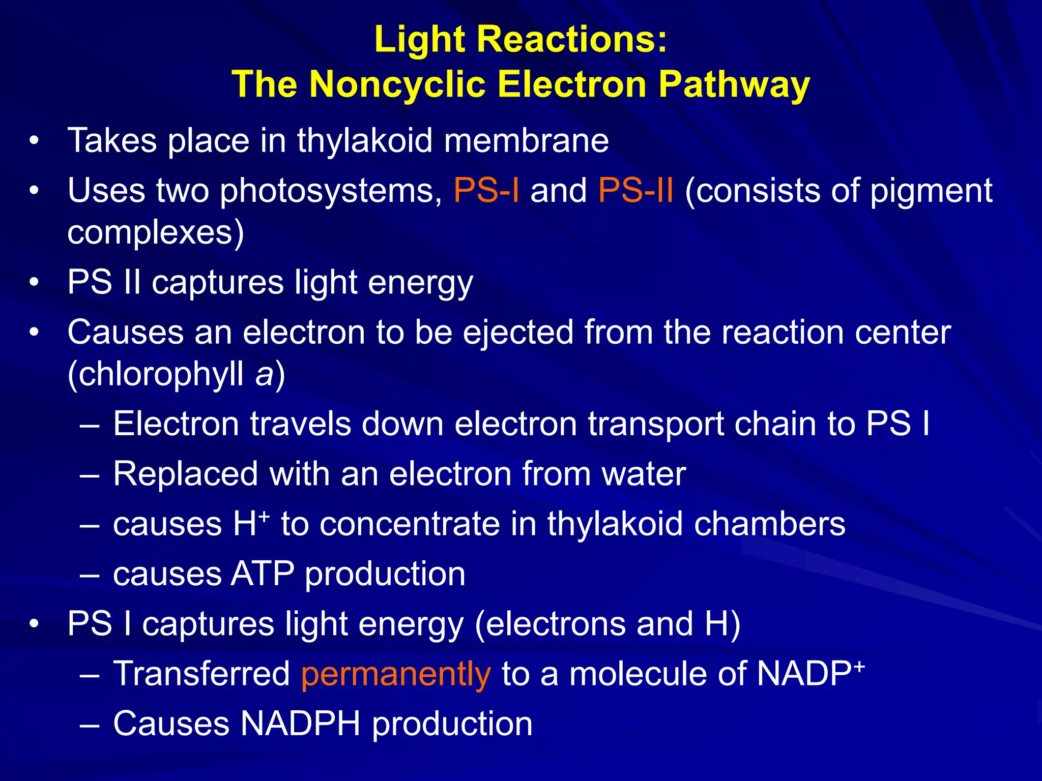bacterial metabolism.ppt