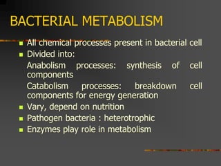 Bacterial metabolism3 | PPTX