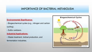 Bacterial metabolisms and nutrient acquisition.Lecture (2).pdf