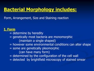 Bacterial Morphol and Ultrastructure.ppt