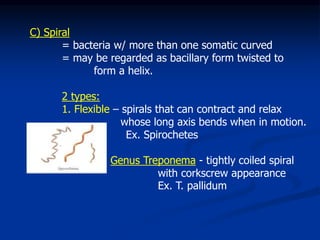 Bacterial Morphol and Ultrastructure.ppt