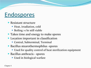 Bacterial morphology | PPT