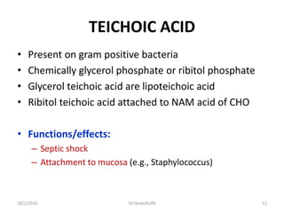 Bacterial Morphology | PPTX