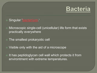 Bacterial morphology | PPSX