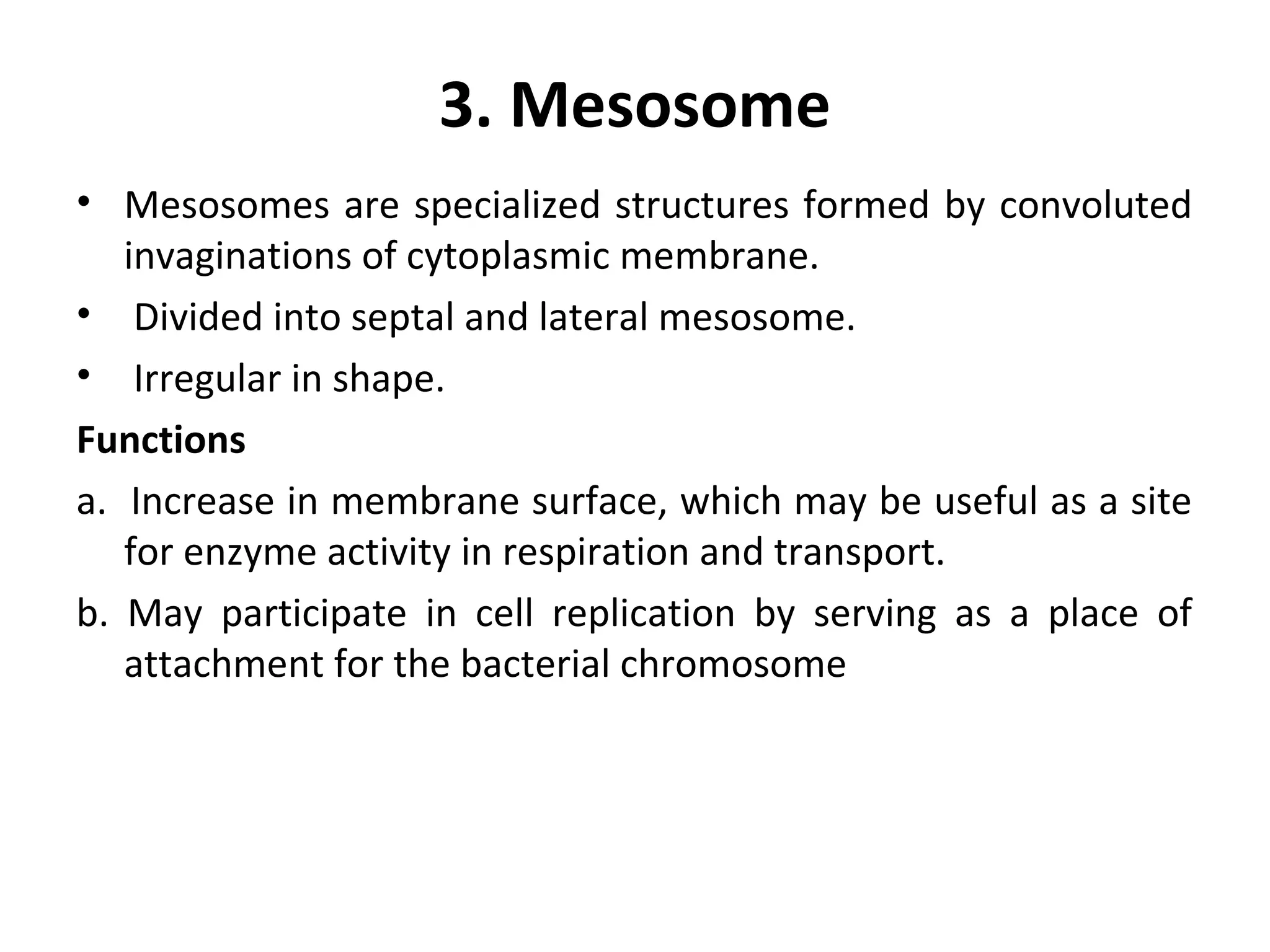 Bacterial morphology | PPT