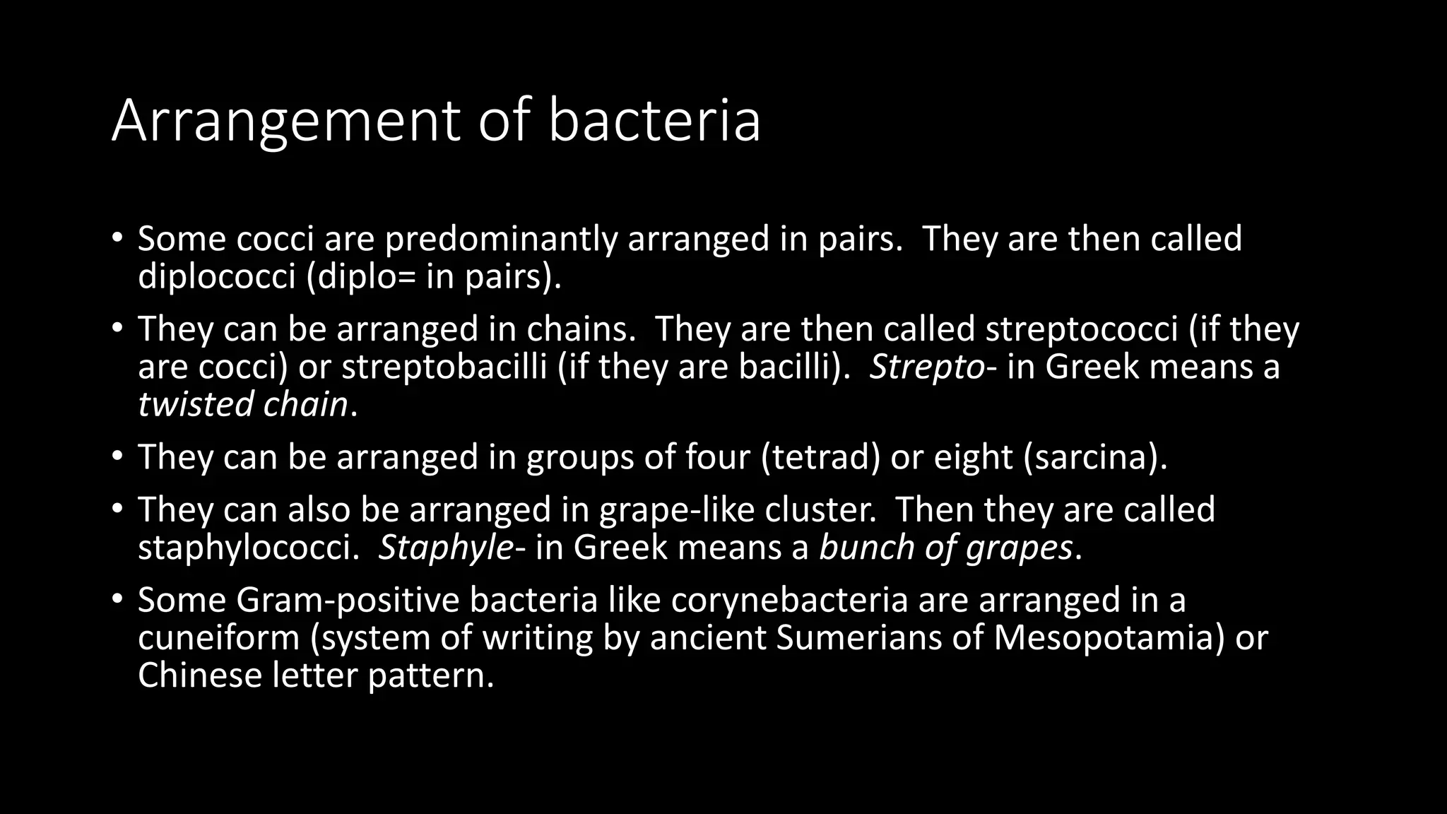 Bacterial morphology by Dr. Himanshu Khatri | PPTX