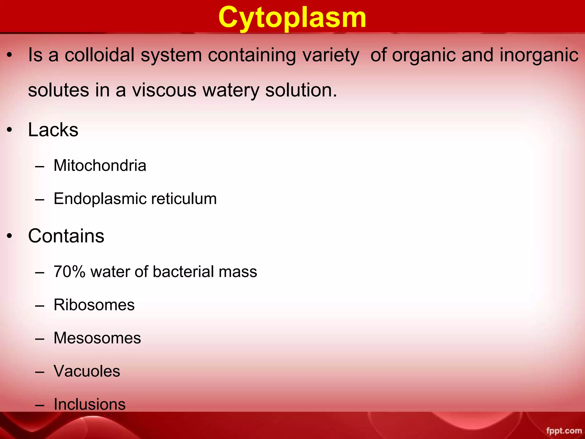 Morphology of Bacteria | PPT