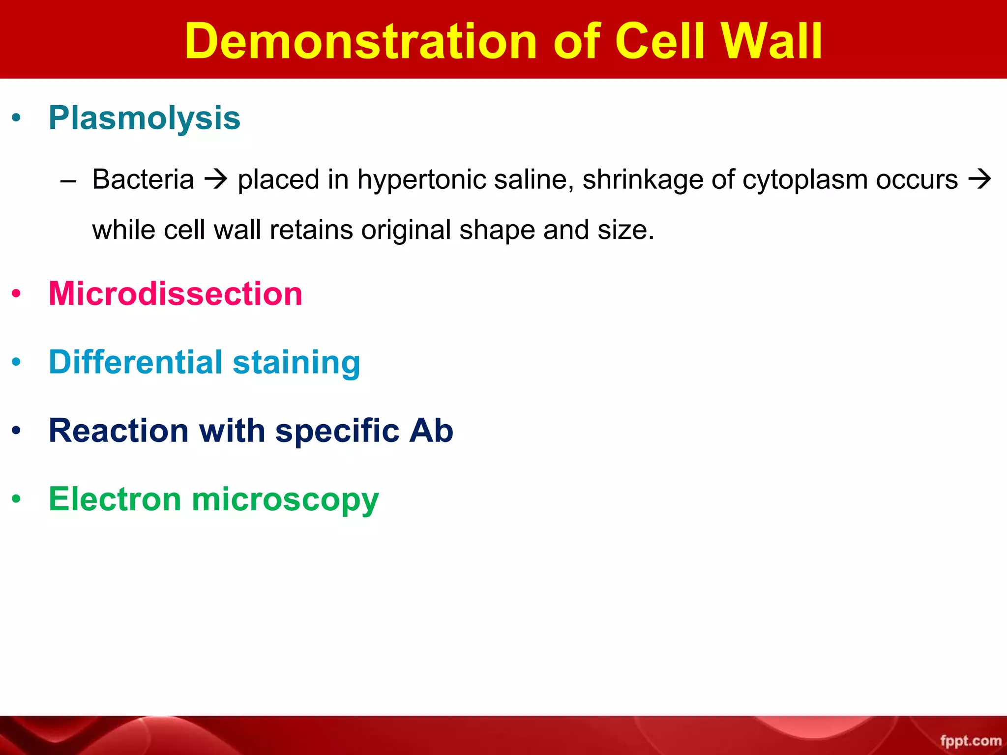Bacterial Morphology.ppt