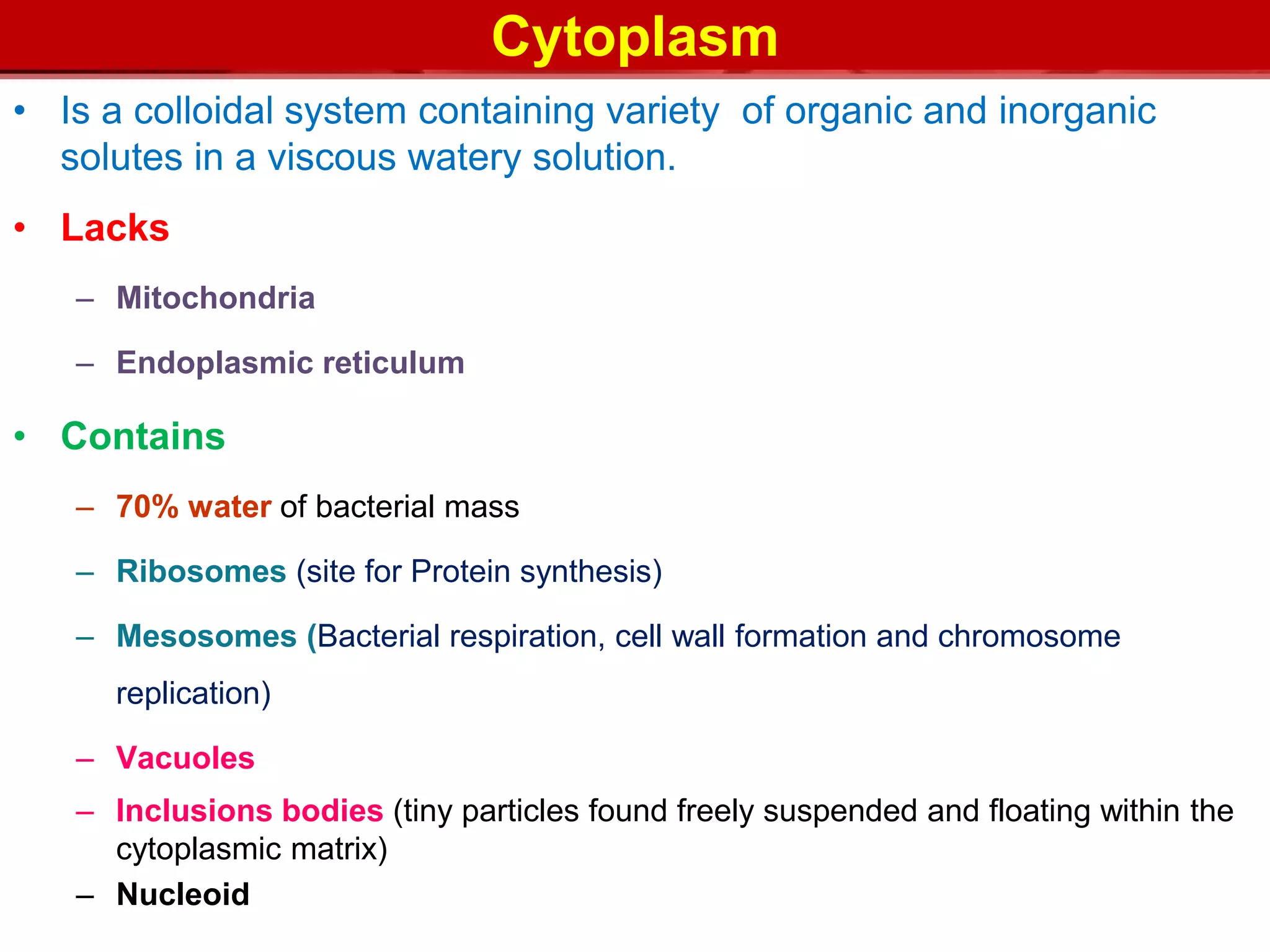 Bacterial Morphology.ppt