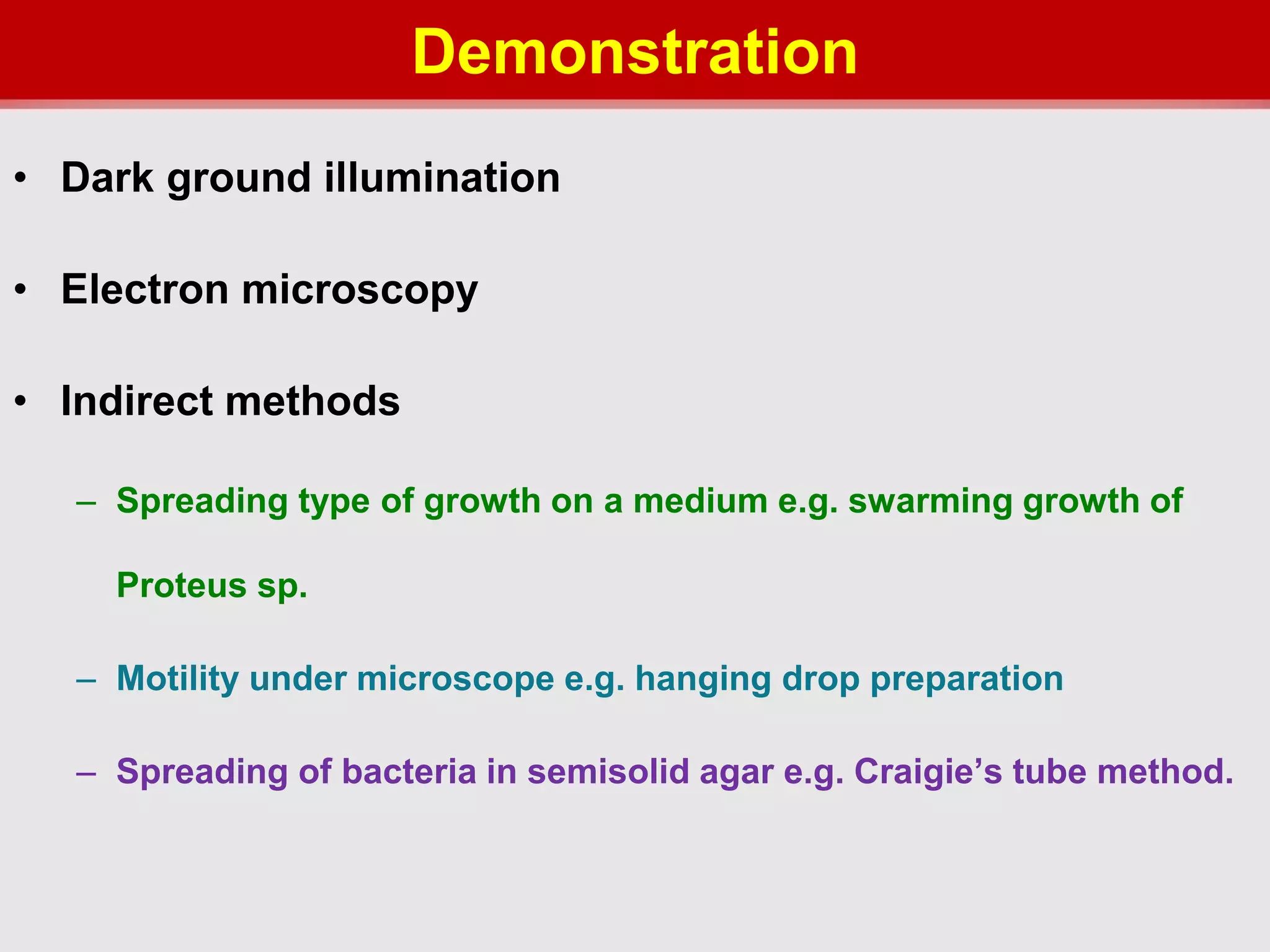 Bacterial Morphology.ppt