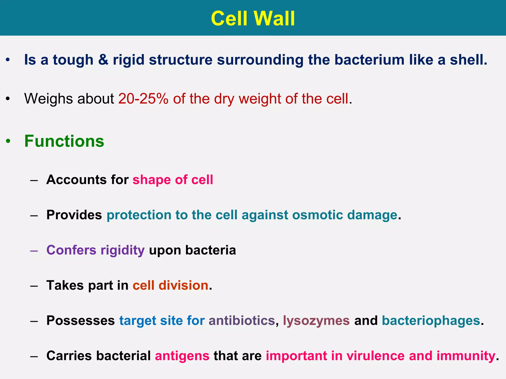 Bacterial Morphology.ppt