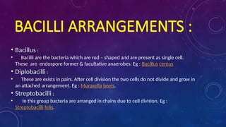 Medical Bacteriology - Bacterial Morphology | PPT