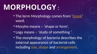 Medical Bacteriology - Bacterial Morphology | PPT