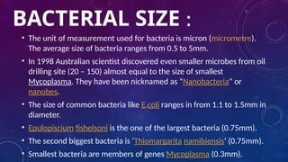 Medical Bacteriology - Bacterial Morphology | PPTX