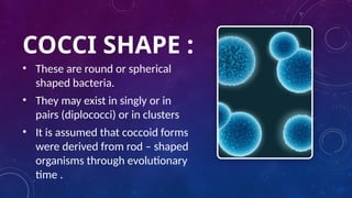 Medical Bacteriology - Bacterial Morphology | PPT