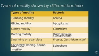 bacterial morphology - Capsule to spore.pptx