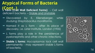 bacterial morphology - Capsule to spore.pptx