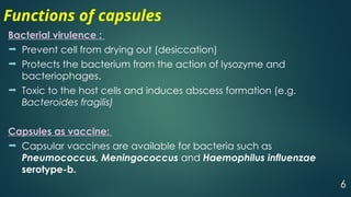 bacterial morphology - Capsule to spore.pptx