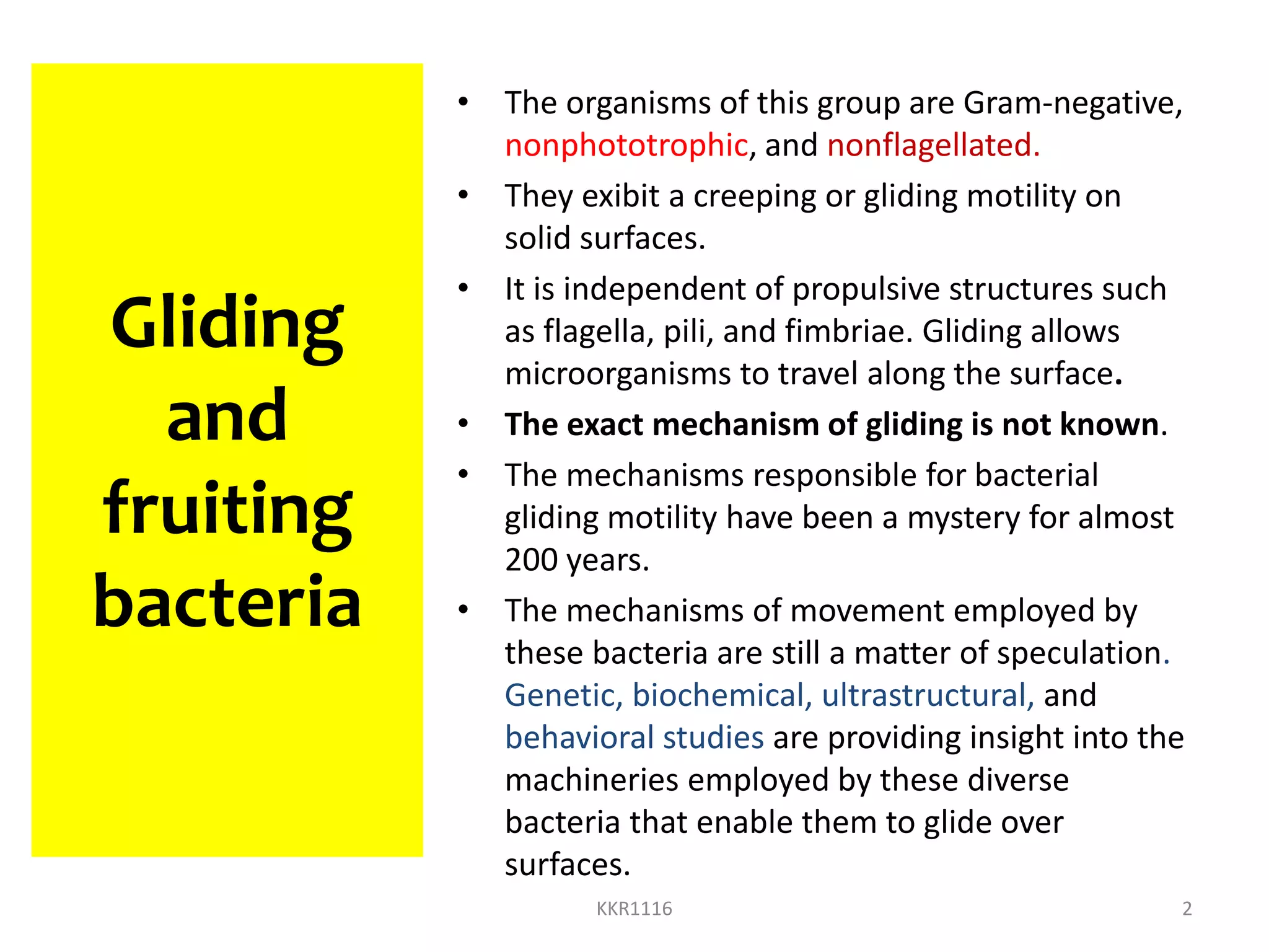 Bacterial morphology gliding and fruiting bacteria | PPTX