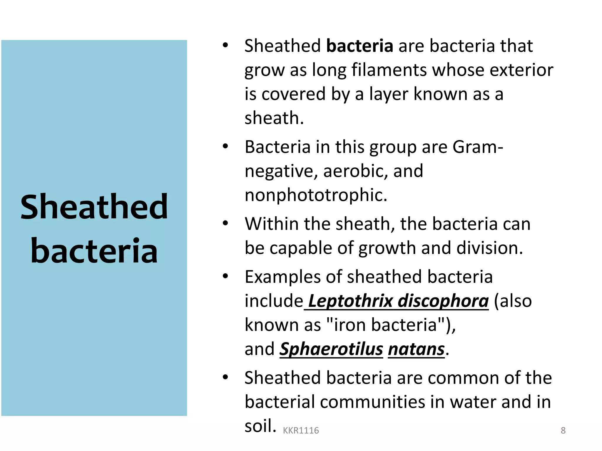 Bacterial morphology gliding and fruiting bacteria | PPTX