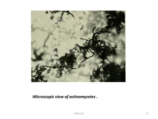 Bacterial morphology gliding and fruiting bacteria | PPTX