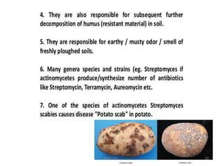 Bacterial morphology gliding and fruiting bacteria | PPTX