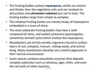 Bacterial morphology gliding and fruiting bacteria | PPTX
