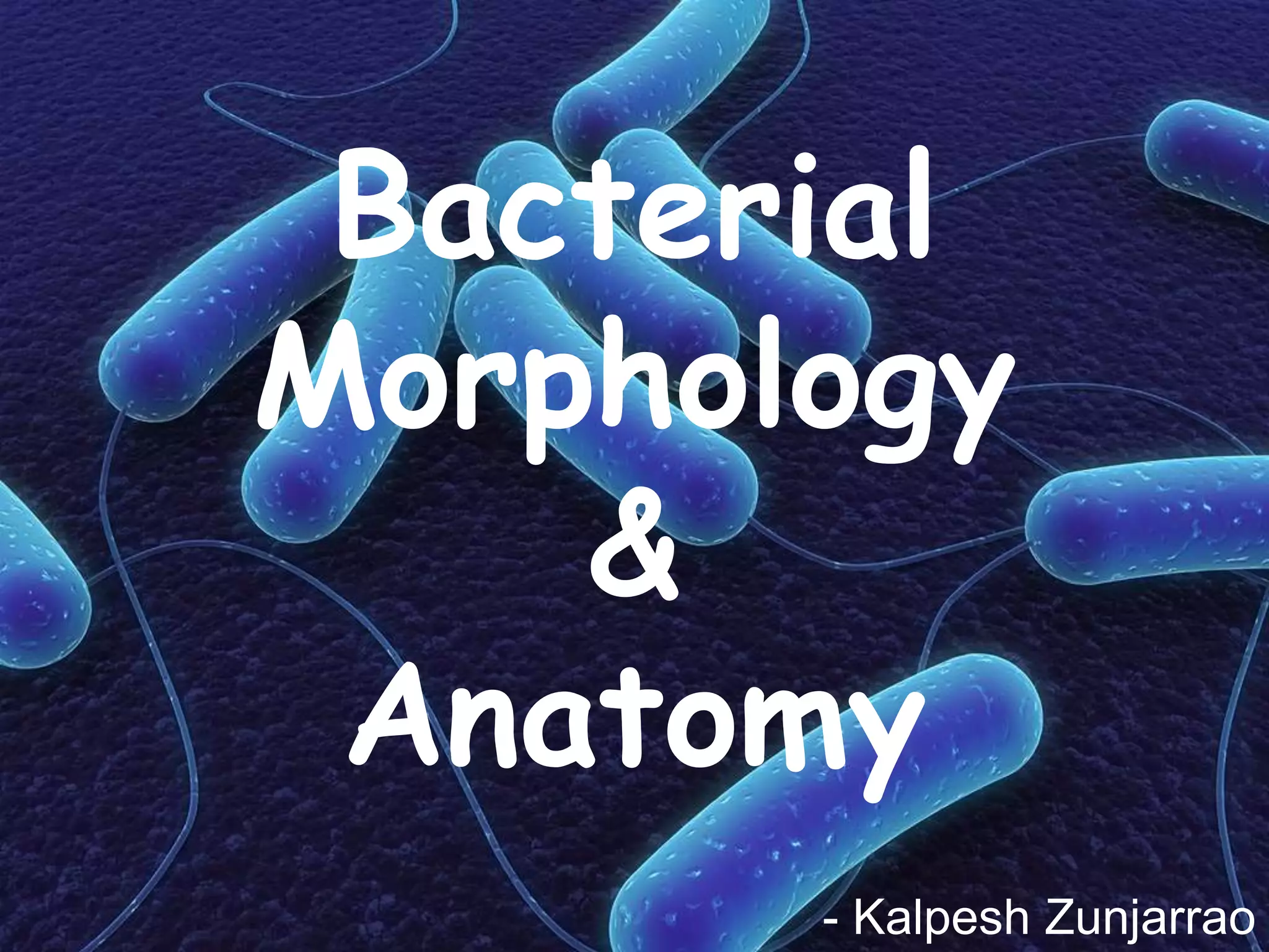 Bacterial morphology & anatomy | PPSX