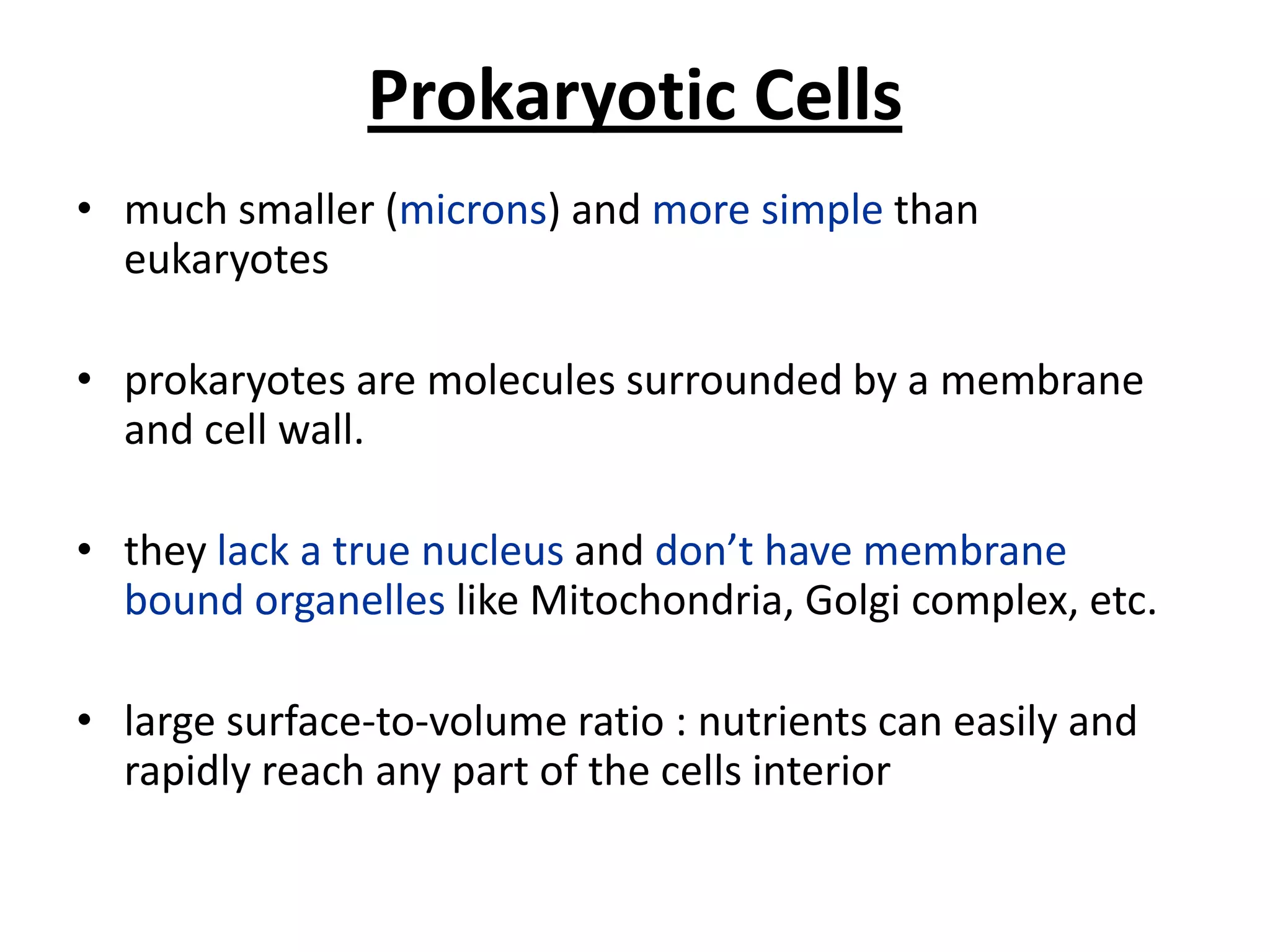 Bacterial morphology & anatomy | PPSX