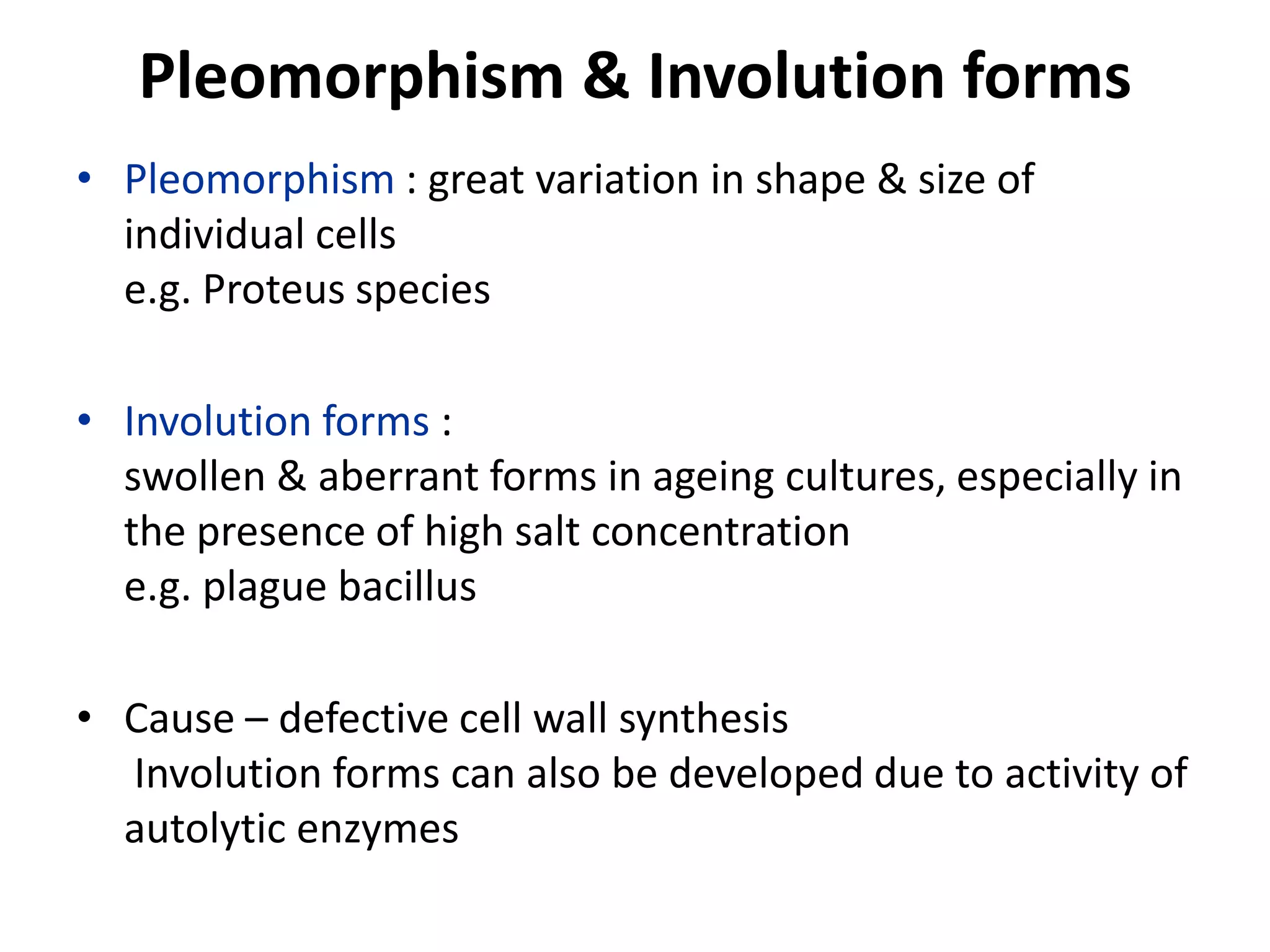 Bacterial morphology & anatomy | PPSX