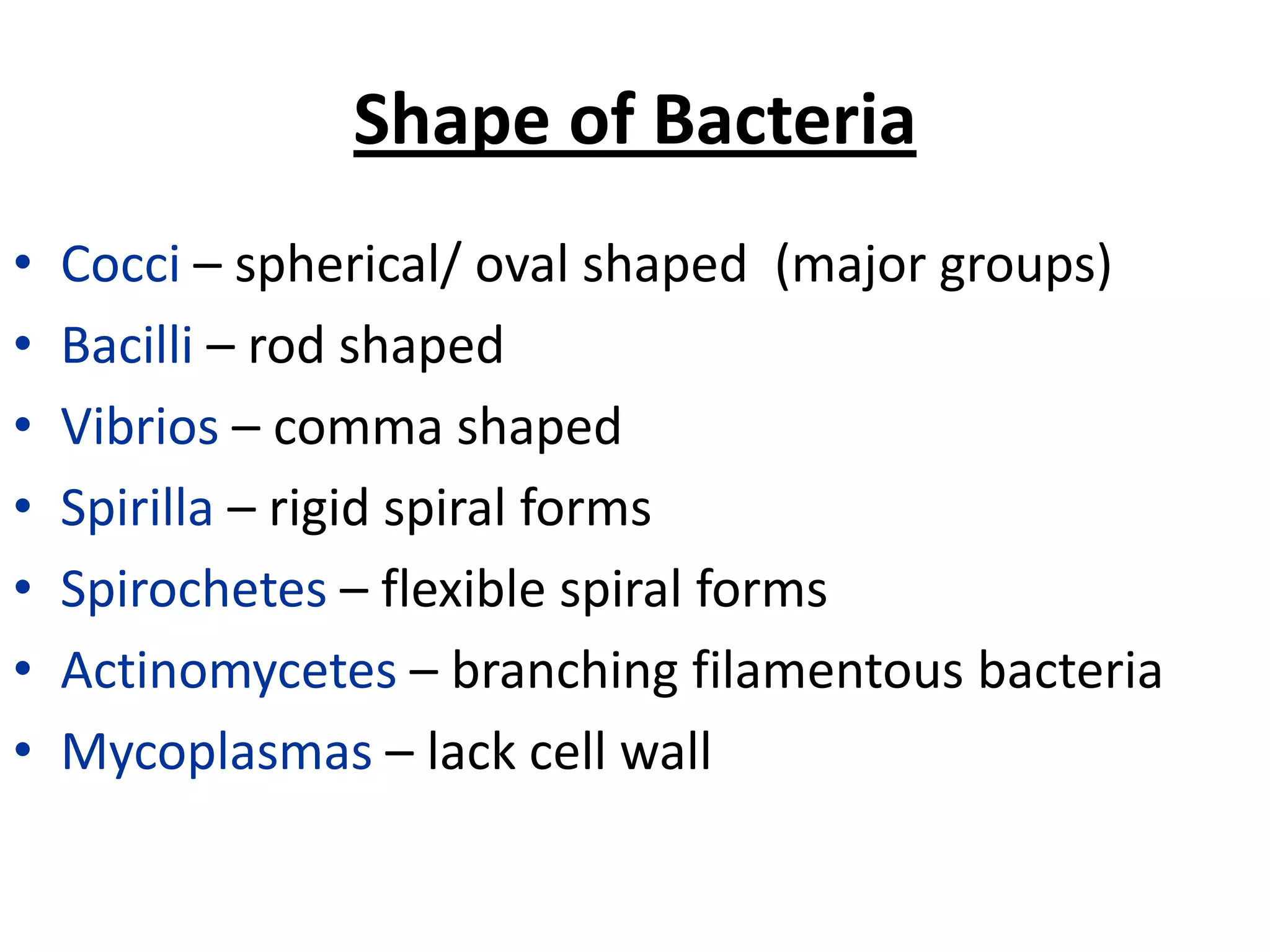 Bacterial morphology & anatomy | PPSX