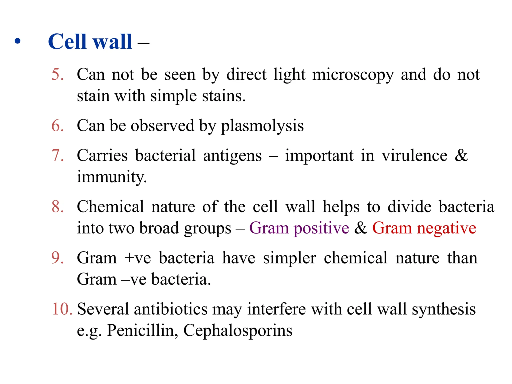 Bacterial Morphology and Atomy.pptx microbiology | PPTX