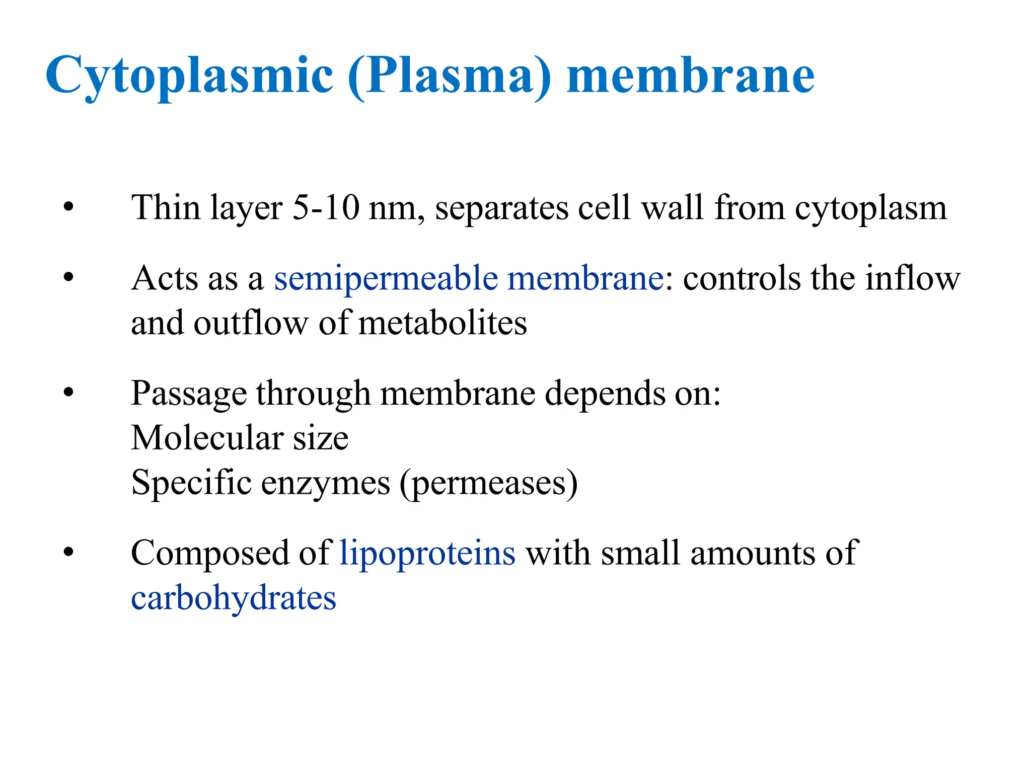 Bacterial Morphology and Atomy.pptx microbiology | PPTX