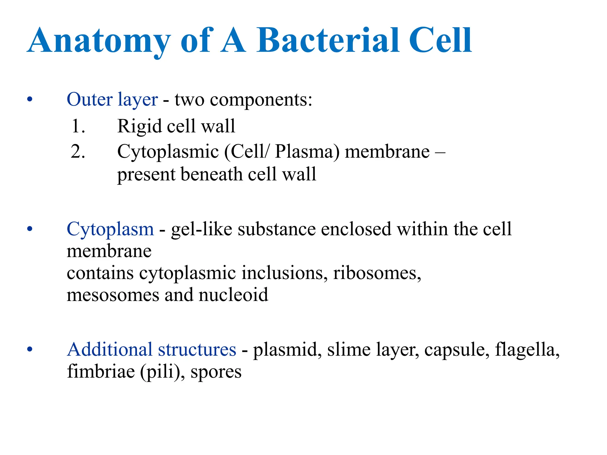 Bacterial Morphologyand Atomy.pdf microbiology | PDF