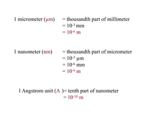 Bacterial Morphologyand Atomy.pdf microbiology | PDF